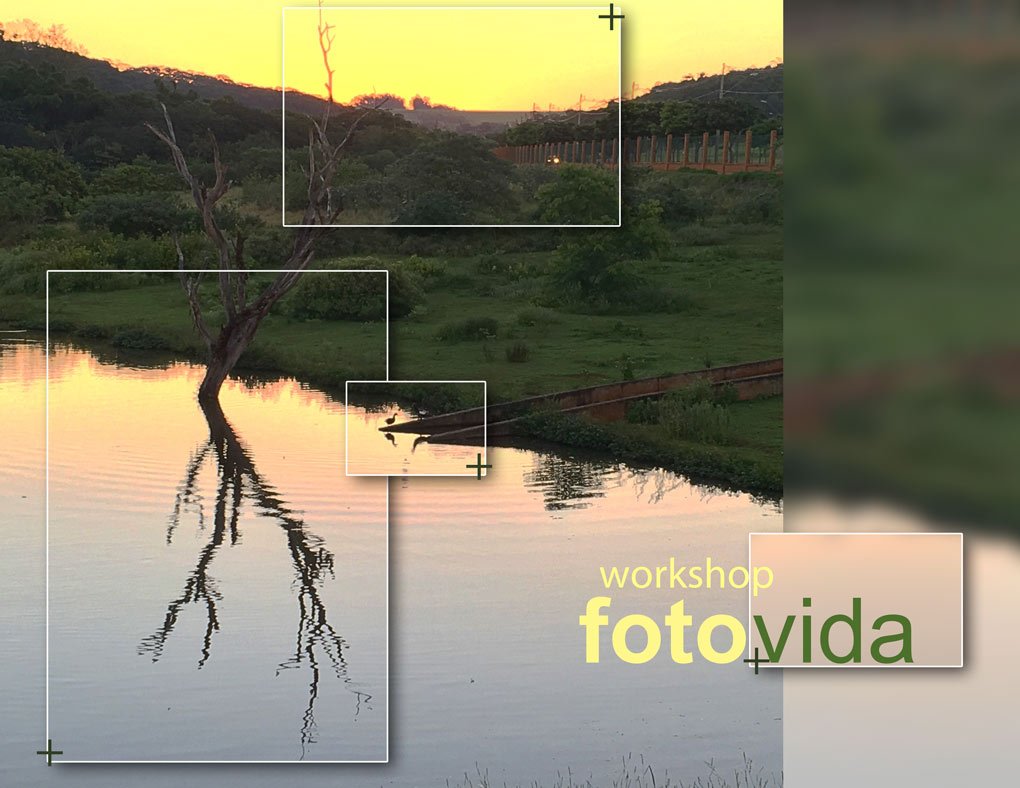 Workshop de Fotografia